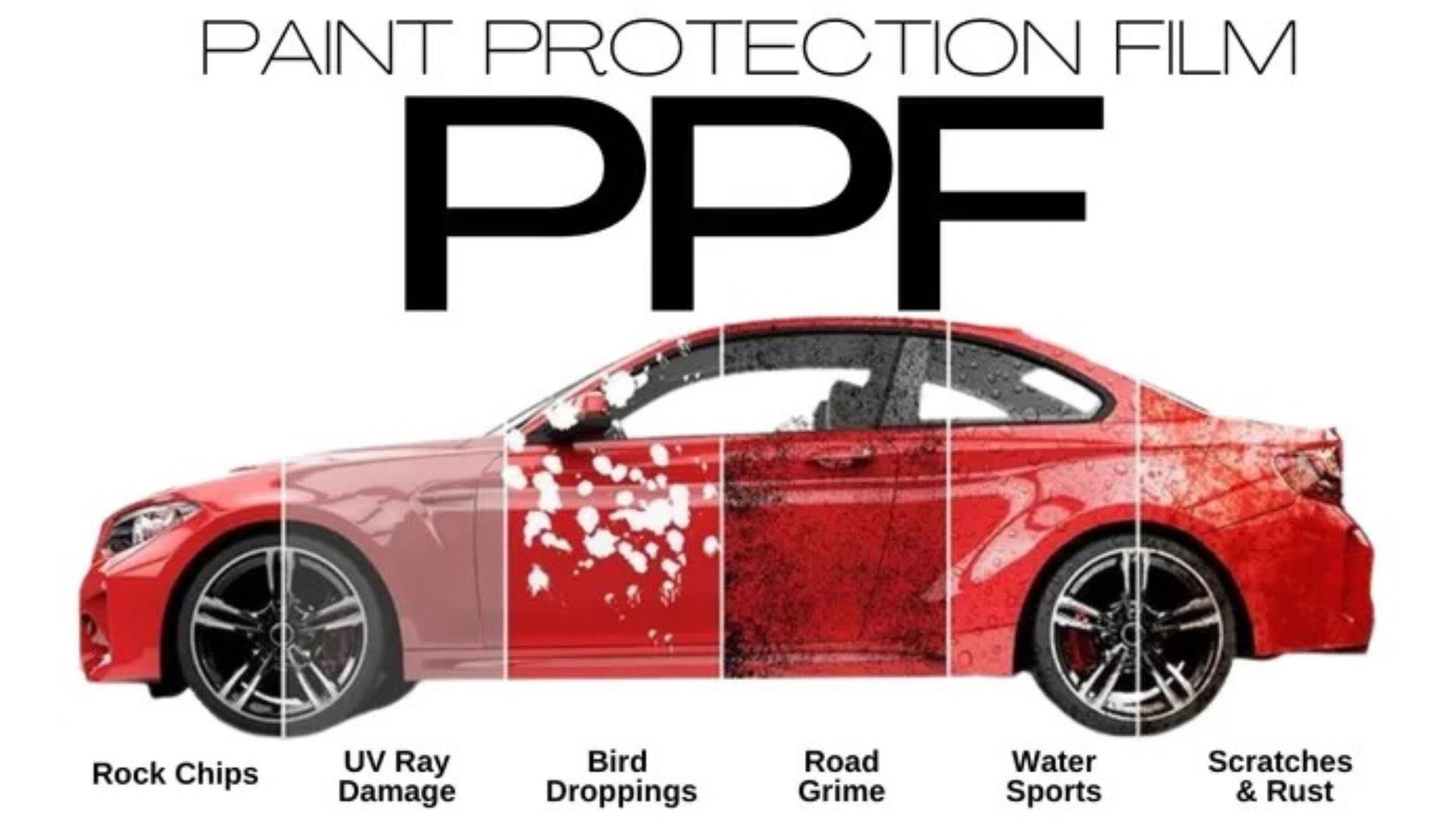 🚗 **Welcome to TOCC's Auto Salon!** 🚀 – Tricked Out Customs